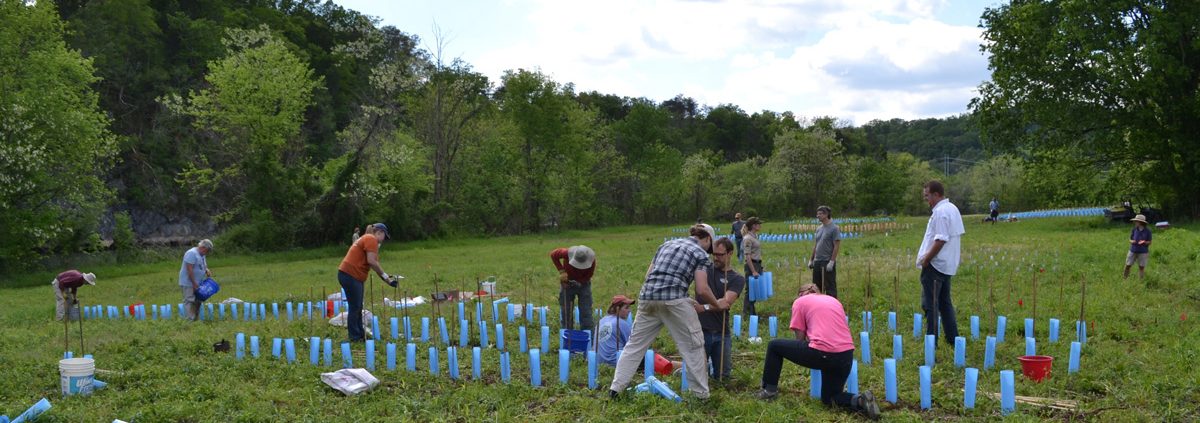 volunteers | The American Chestnut Foundation
