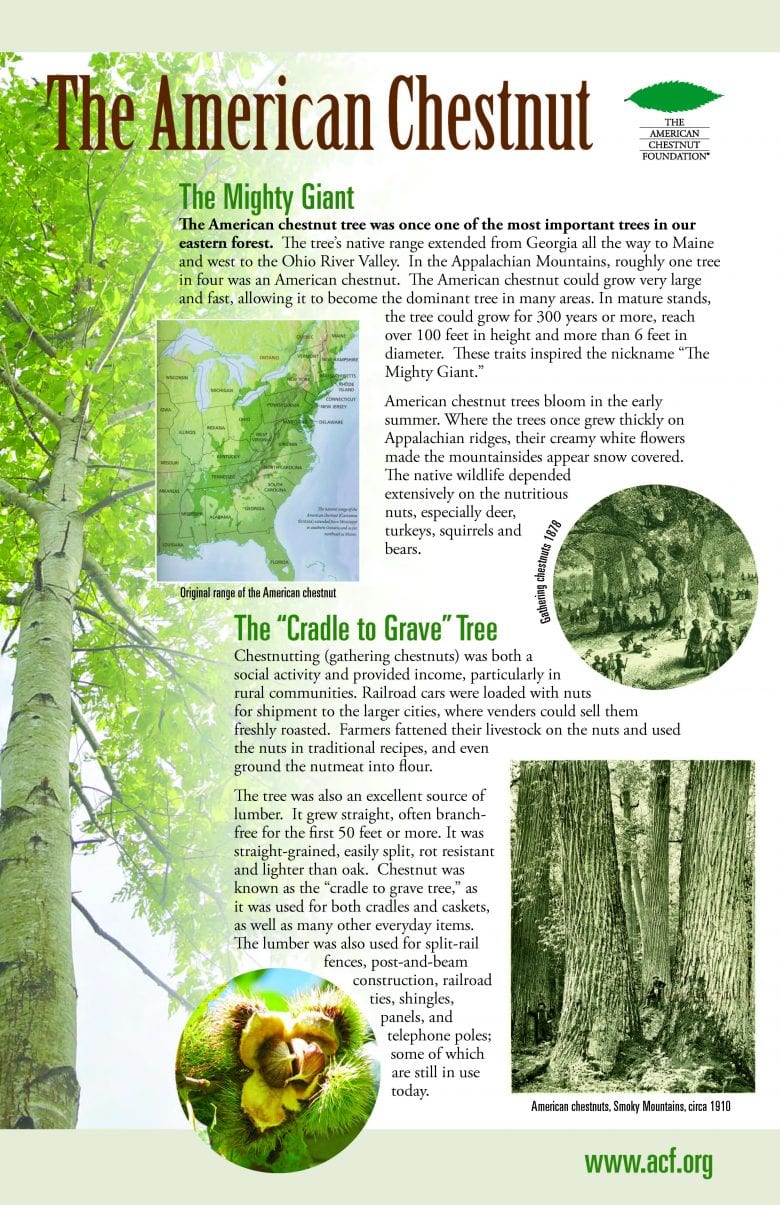 3panelorchardsigns_panel1 | The American Chestnut Foundation