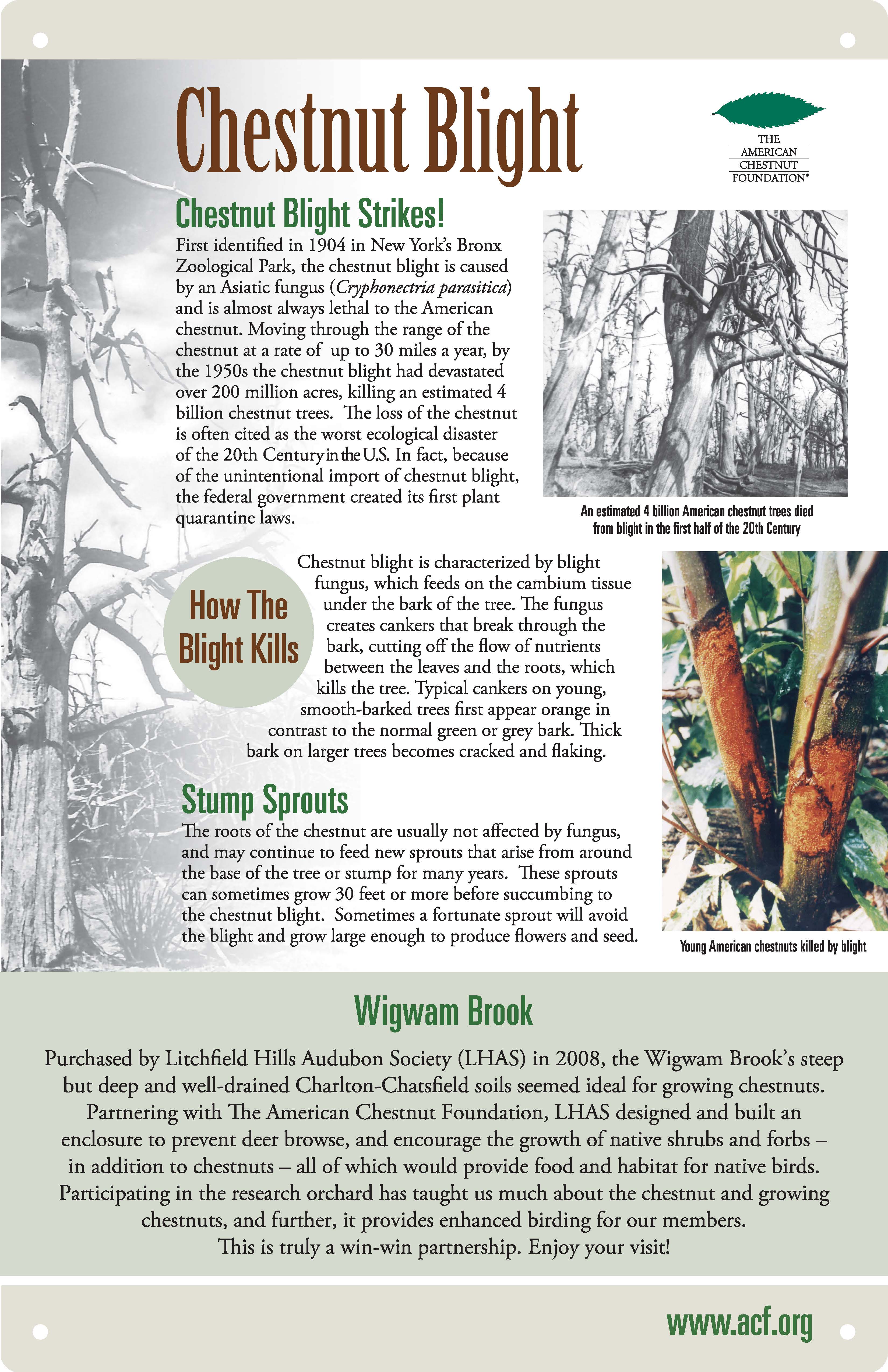 3panelorchardsigns_panel2 | The American Chestnut Foundation