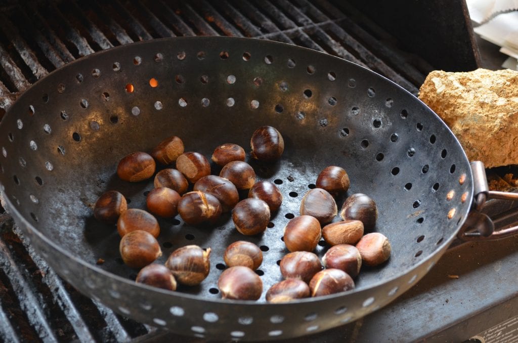 Chestnut Chat | The American Chestnut Foundation
