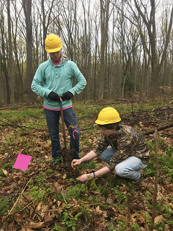 ANF-Planting1 | The American Chestnut Foundation