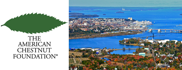 2017 Fall Meeting Banner for eBlast – 1 | The American Chestnut Foundation