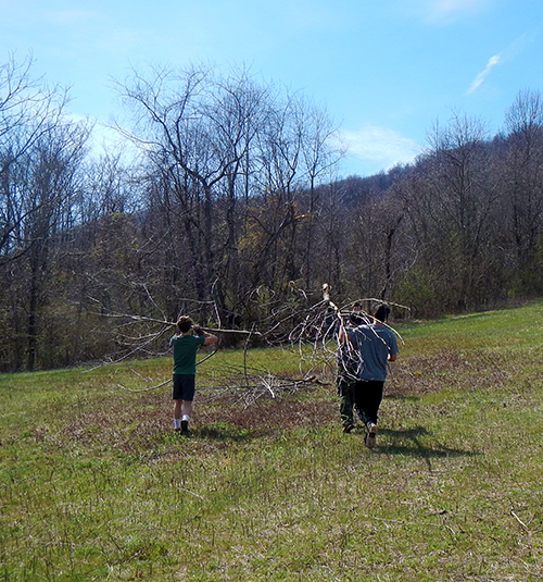 WEB – Students Carrying Trees | The American Chestnut Foundation