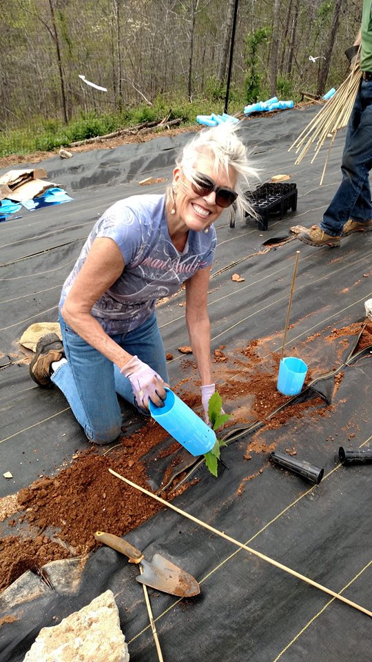 GATACF President Kathy Patrick | The American Chestnut Foundation