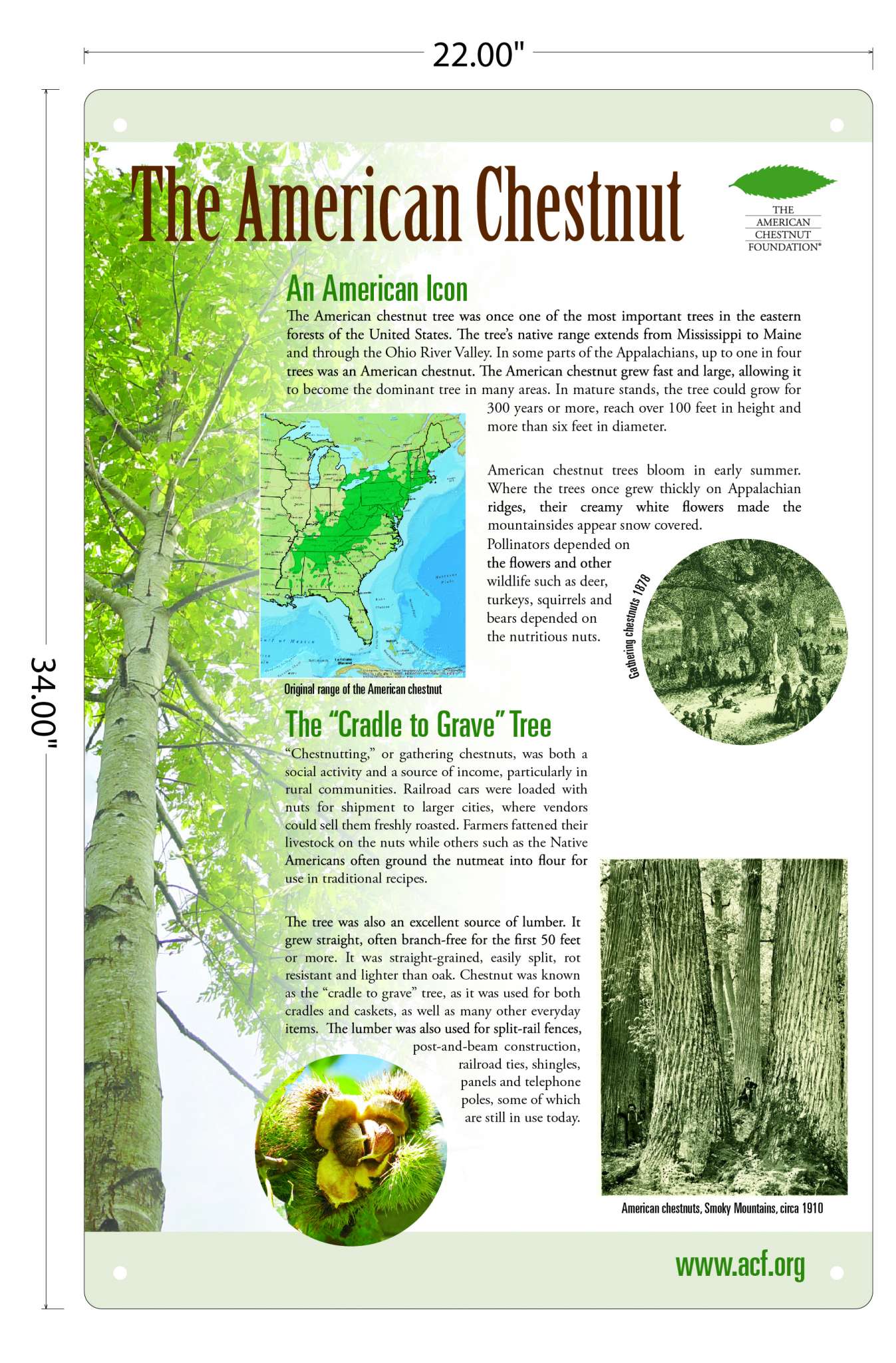 TACF Orchard Signs: 3P - Left Panel | The American Chestnut Foundation