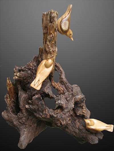 Why Do I Carve American Chestnut Wood? | The American Chestnut Foundation