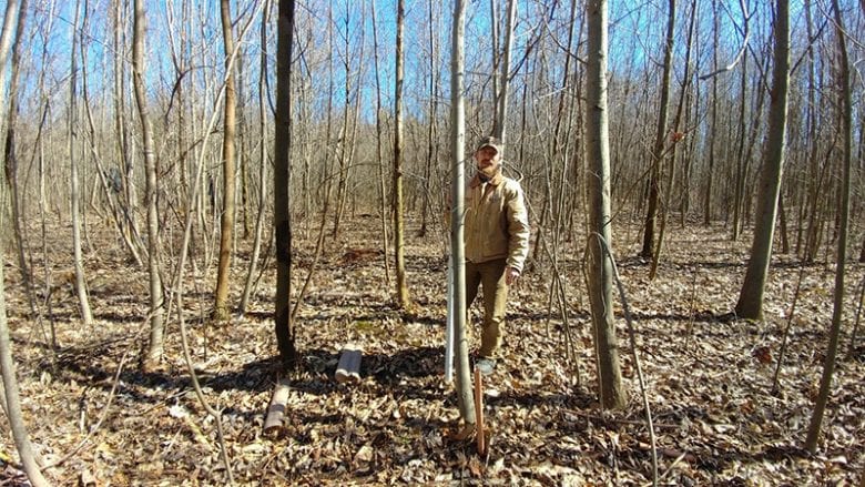 American Chestnut Restoration | The American Chestnut Foundation