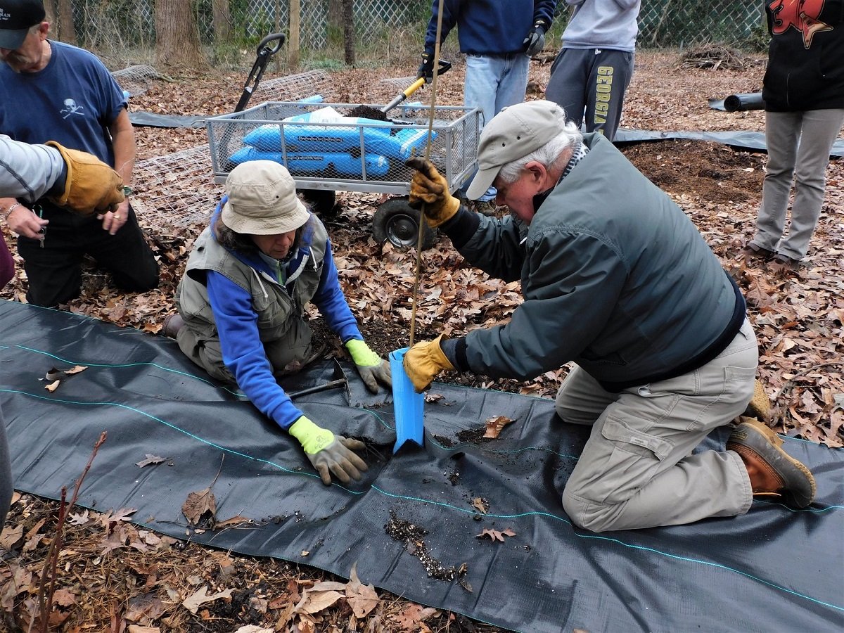 Briarlake Forest planting Feb 2020 | The American Chestnut Foundation