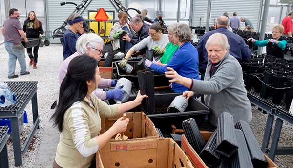 WEB_assembly line at Baltimore greenhouse | The American Chestnut ...
