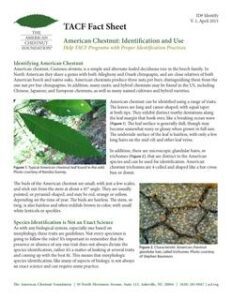 Fact Sheets | The American Chestnut Foundation