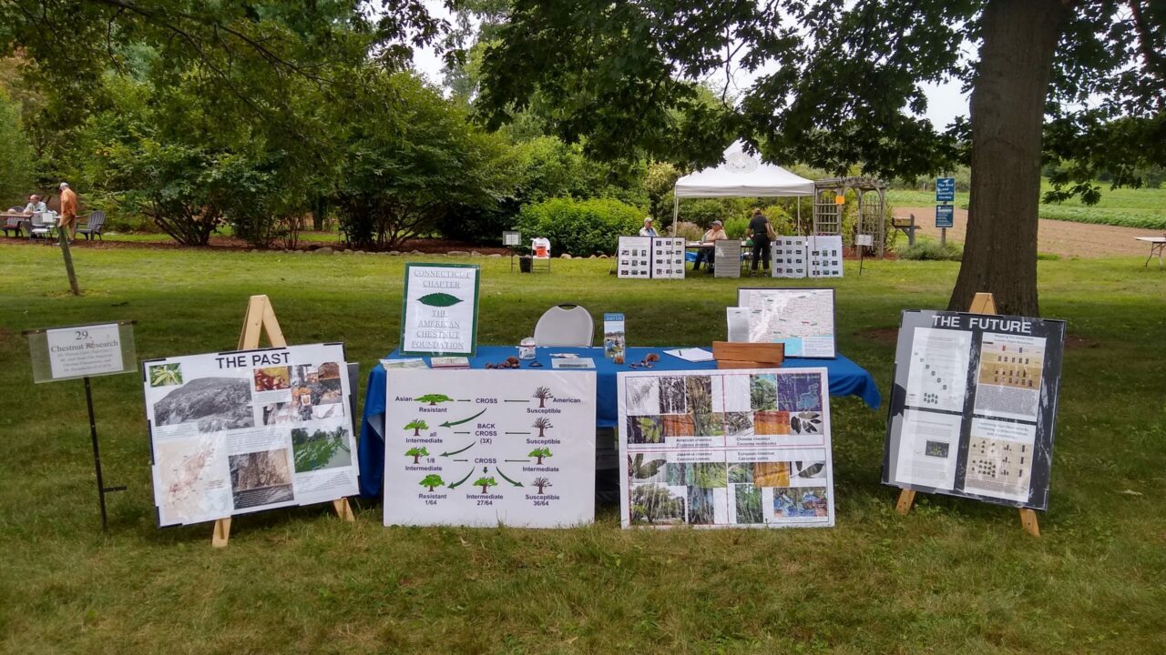 CAES Plant Science Day | The American Chestnut Foundation