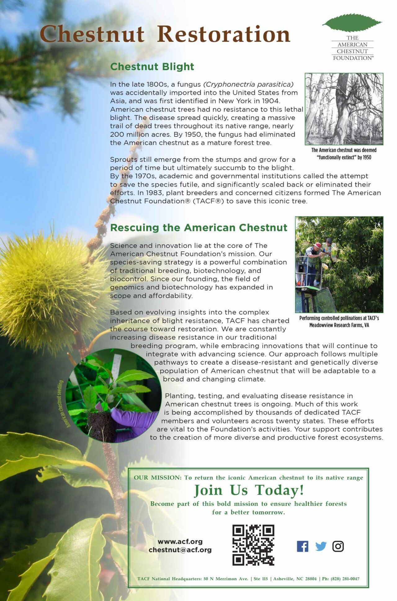 TACF Orchard Signs | The American Chestnut Foundation