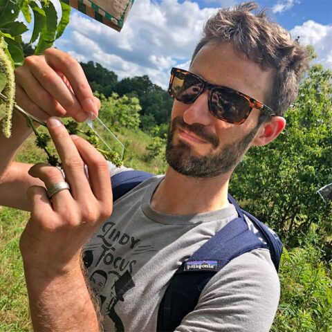 Our Staff | The American Chestnut Foundation