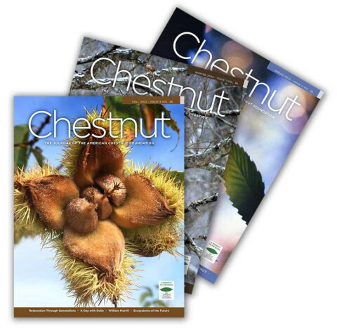 Chestnut Magazine Archives | The American Chestnut Foundation