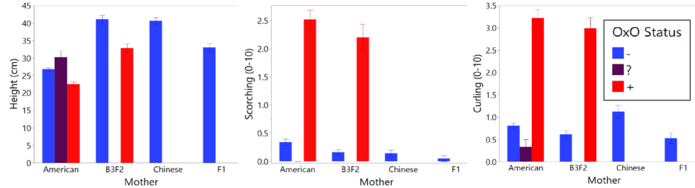 Darling 58 Performance | The American Chestnut Foundation
