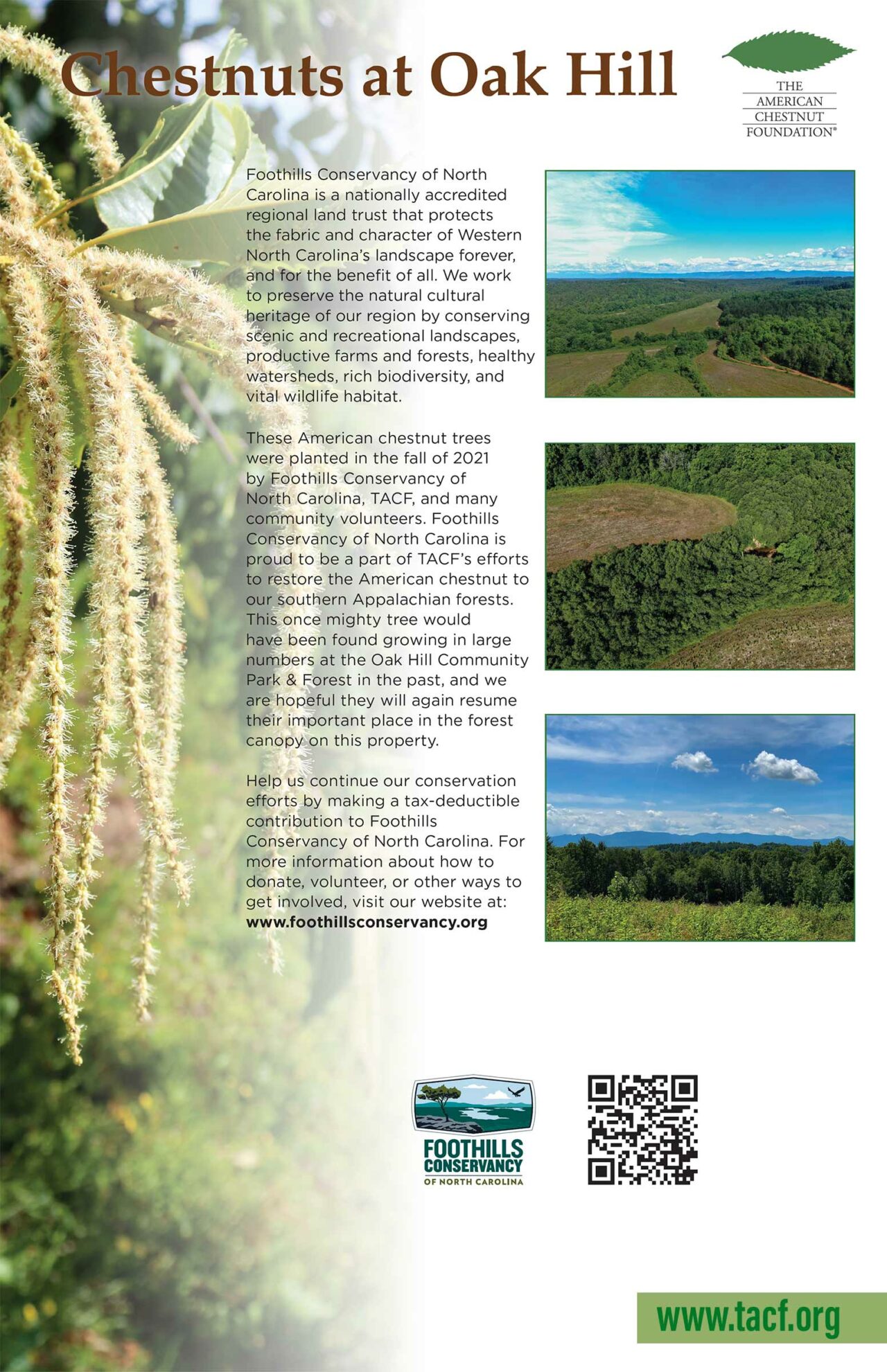 TACF Orchard Signs | The American Chestnut Foundation