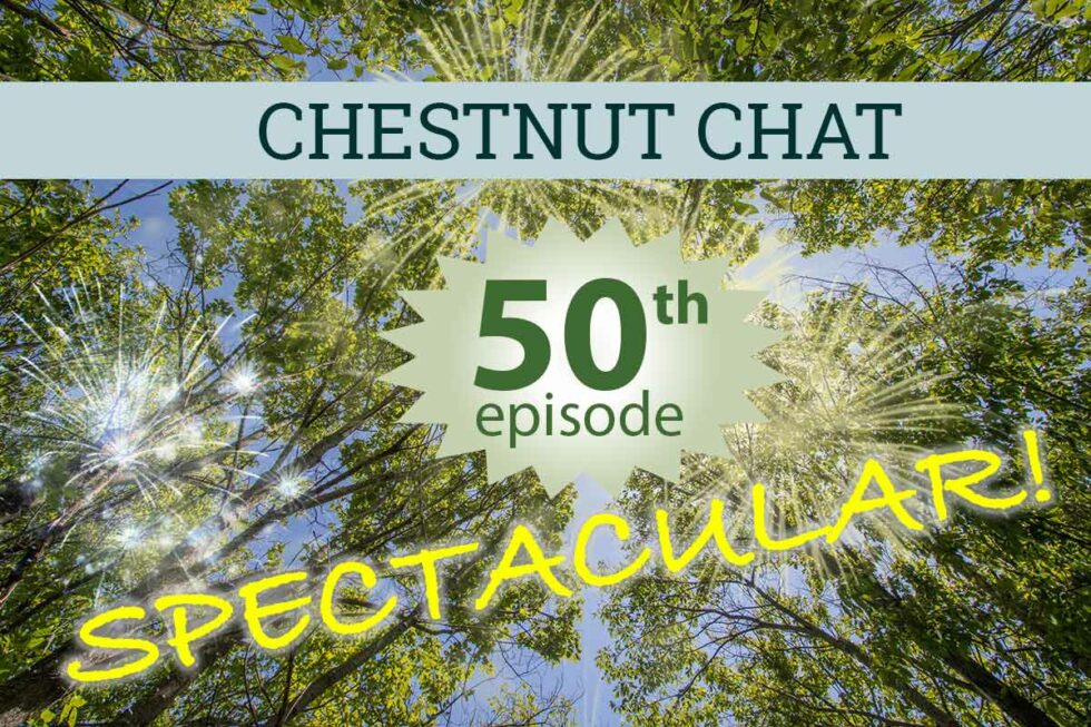 Home | The American Chestnut Foundation