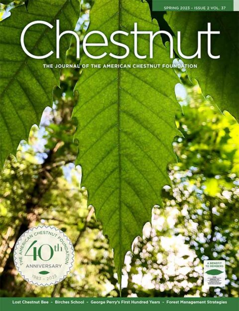 Chestnut Magazine Archives | The American Chestnut Foundation