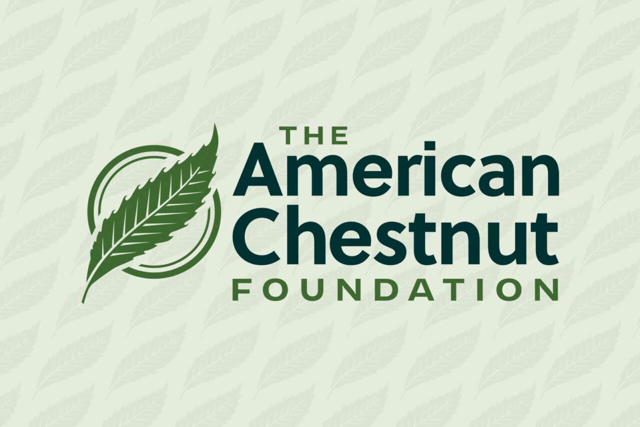 TACF Unveils New Brand | The American Chestnut Foundation