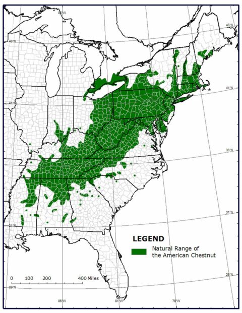 American Chestnut Range Map | The American Chestnut Foundation